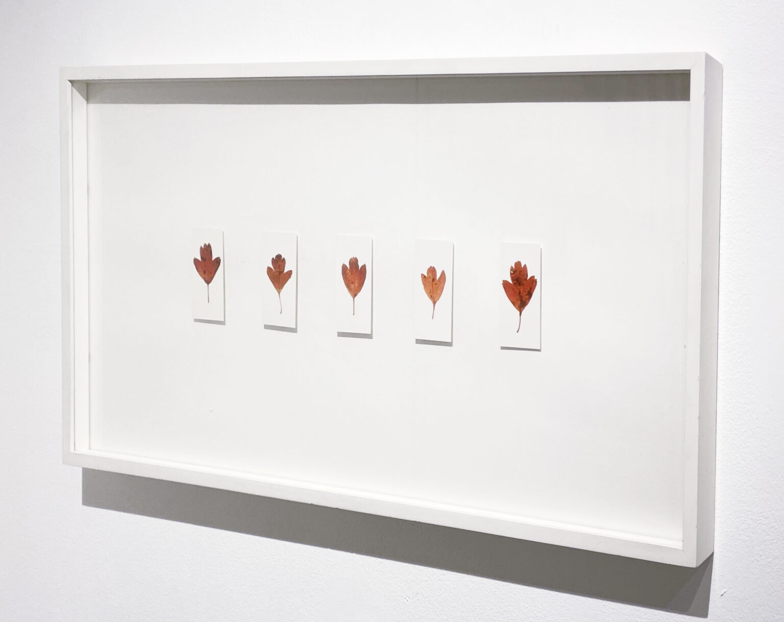 Atlas Gallery | Fine Art PhotographyUNIQUE – Atlas Gallery | Fine Art ...